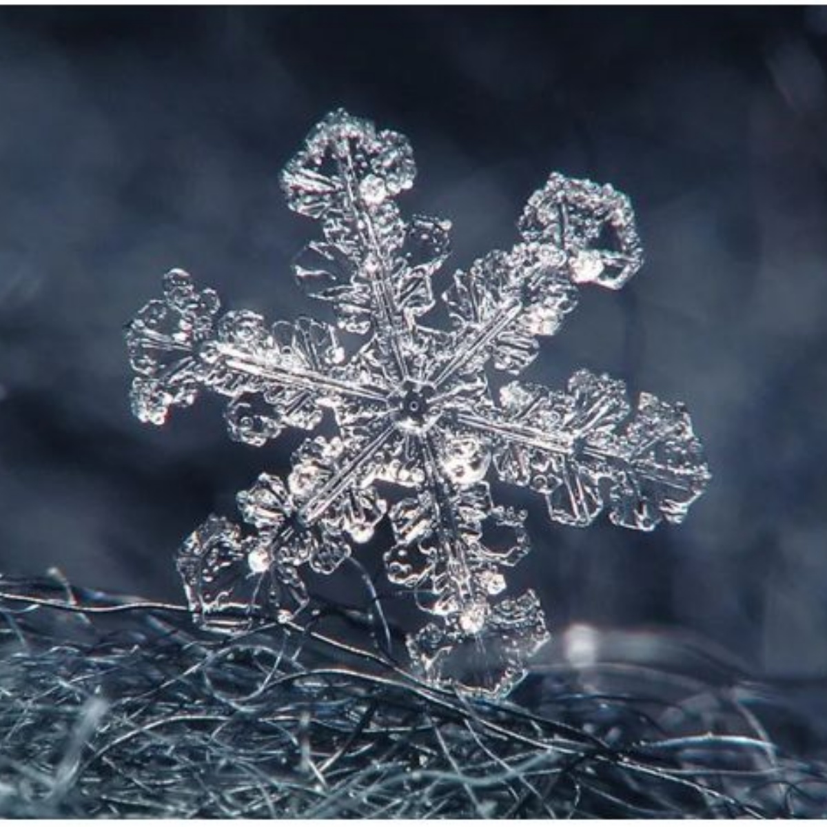 Whitcliffe Mount, A SHARE Academy - Item Not Available